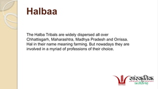 Tribes of chhattisgarh | PPTX