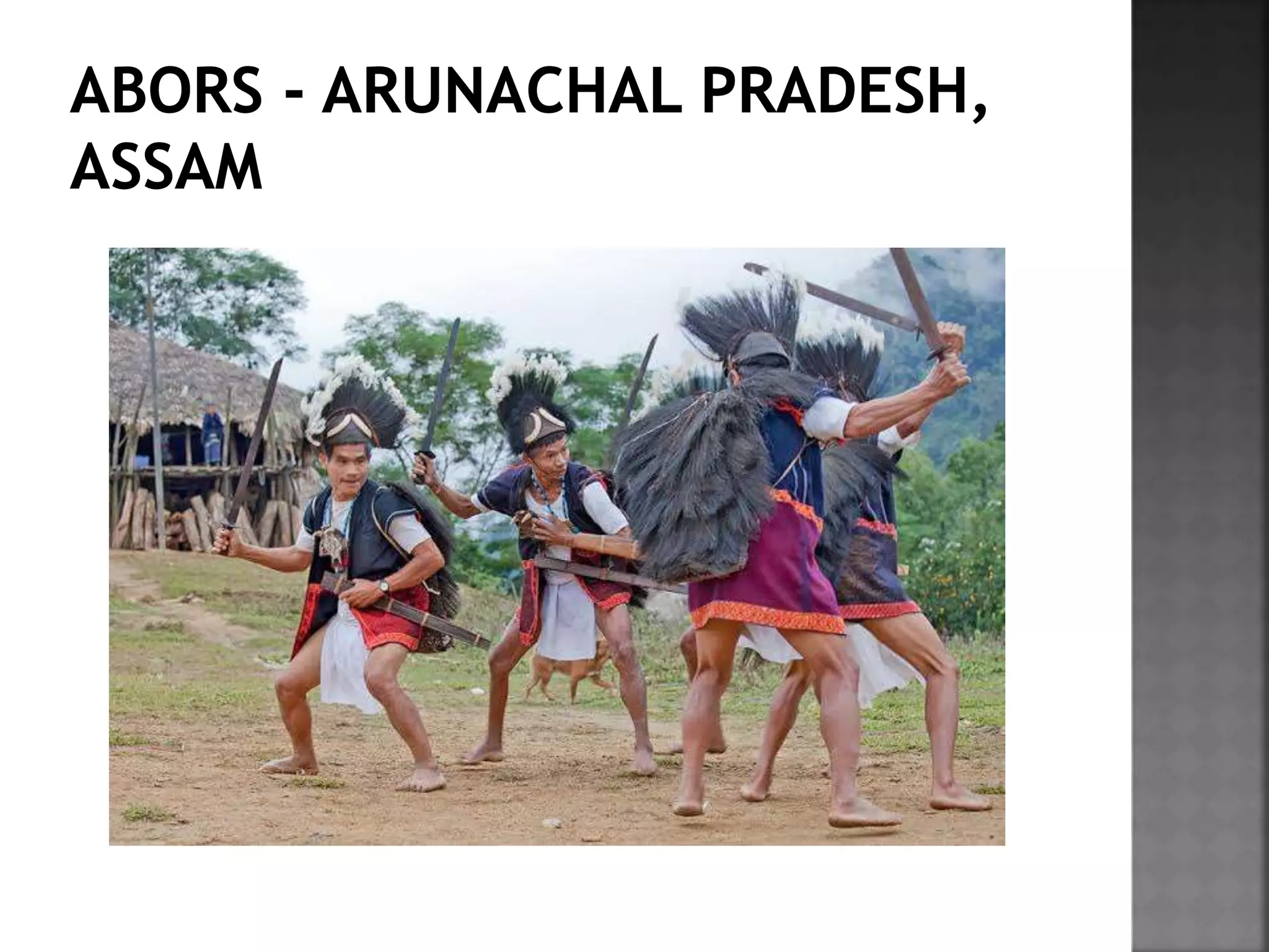 Tribes of india | PPTX