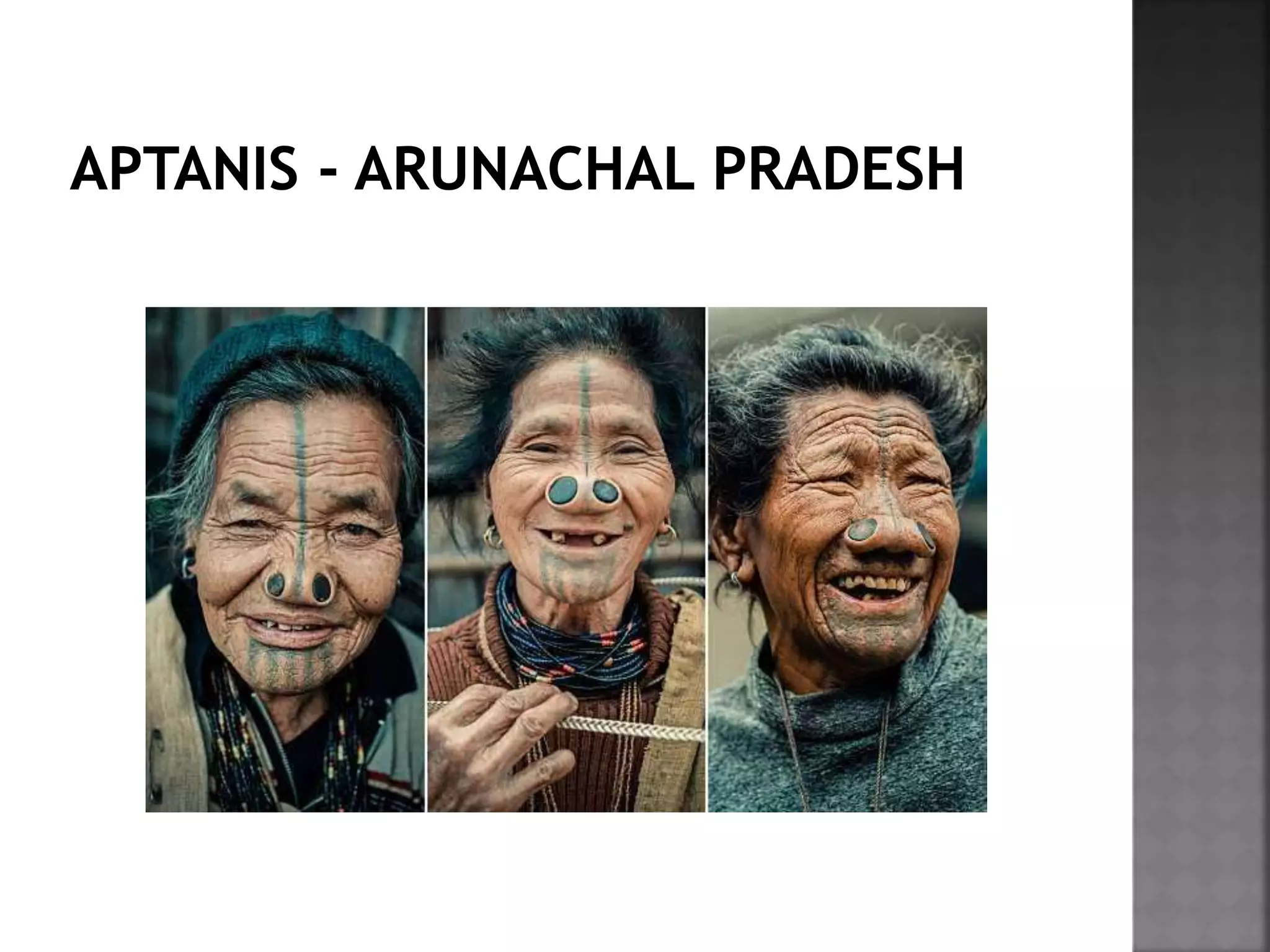 Tribes of india | PPTX