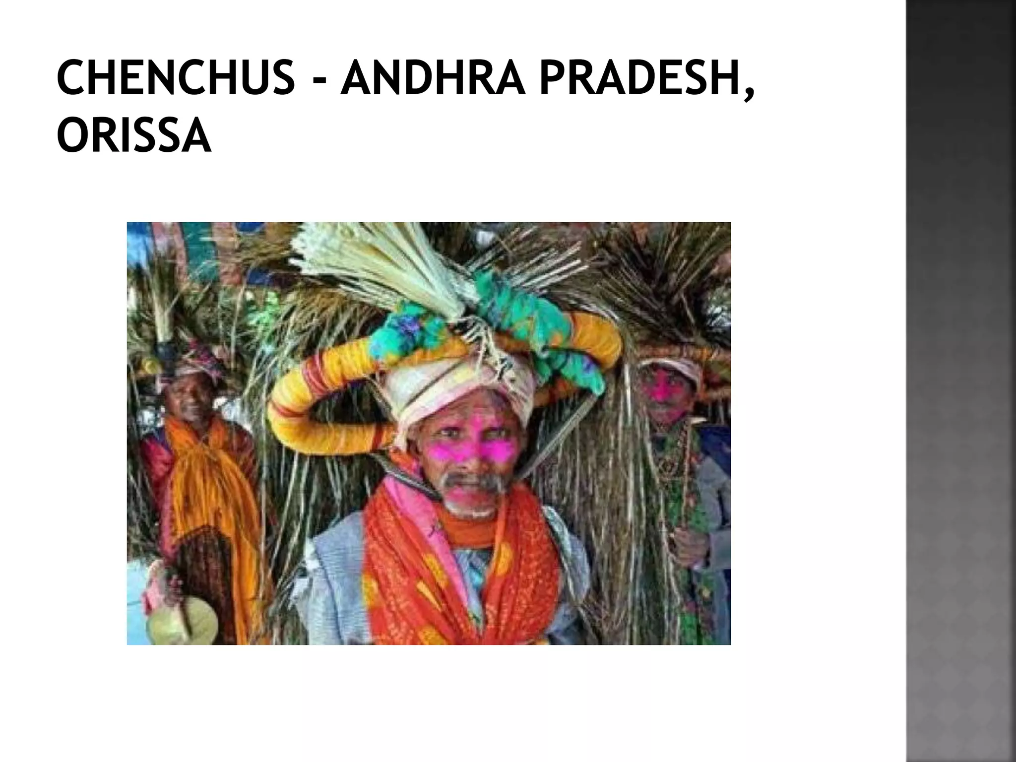 Tribes of india | PPTX