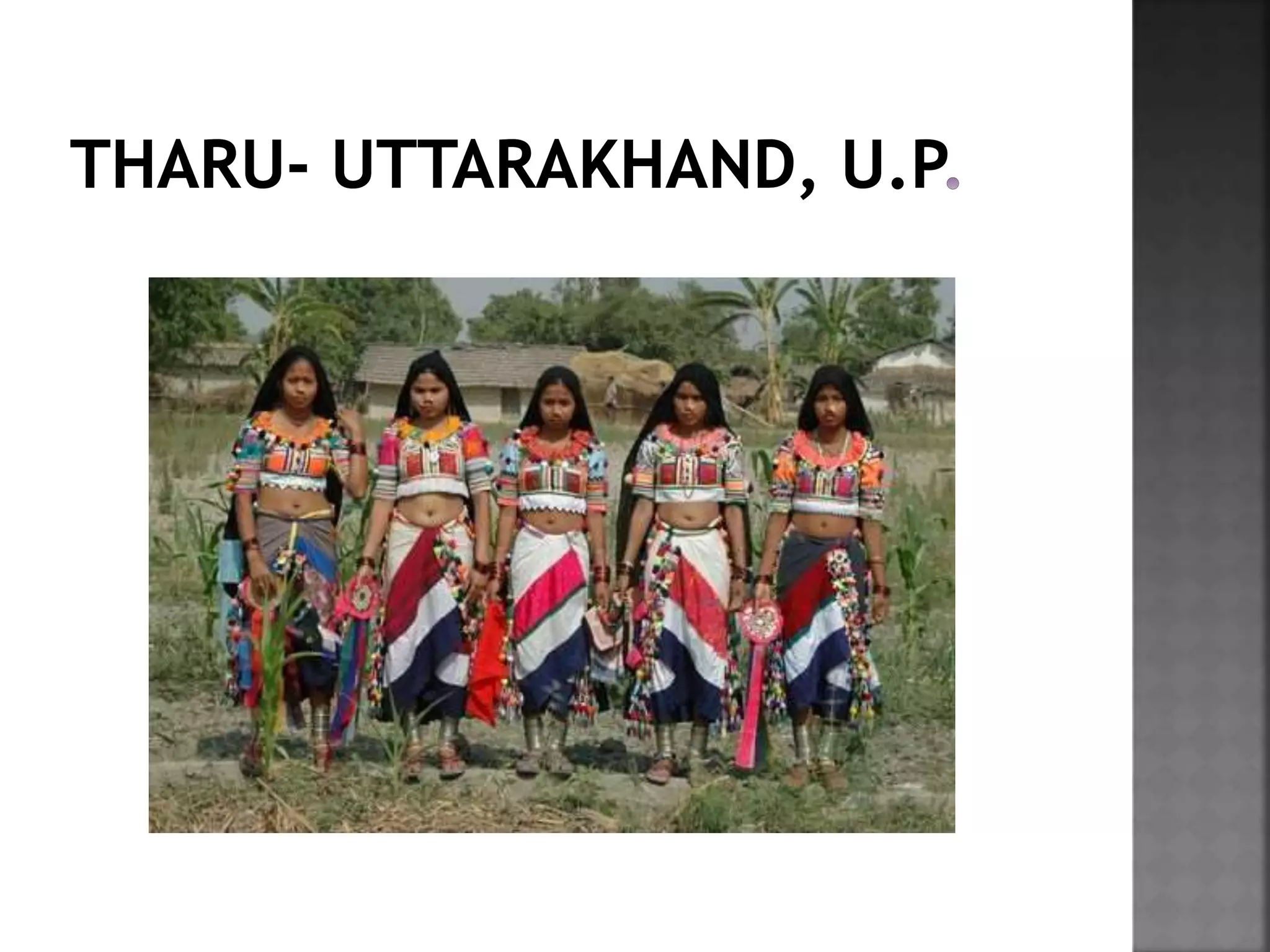 Tribes of india | PPTX
