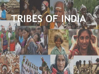 Tribes of india | PPTX