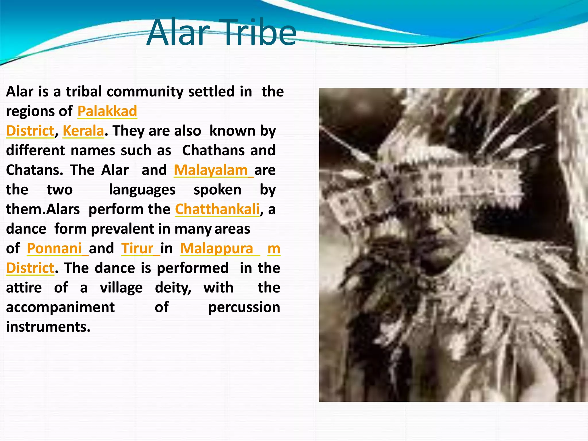 Tribes of india | PPTX