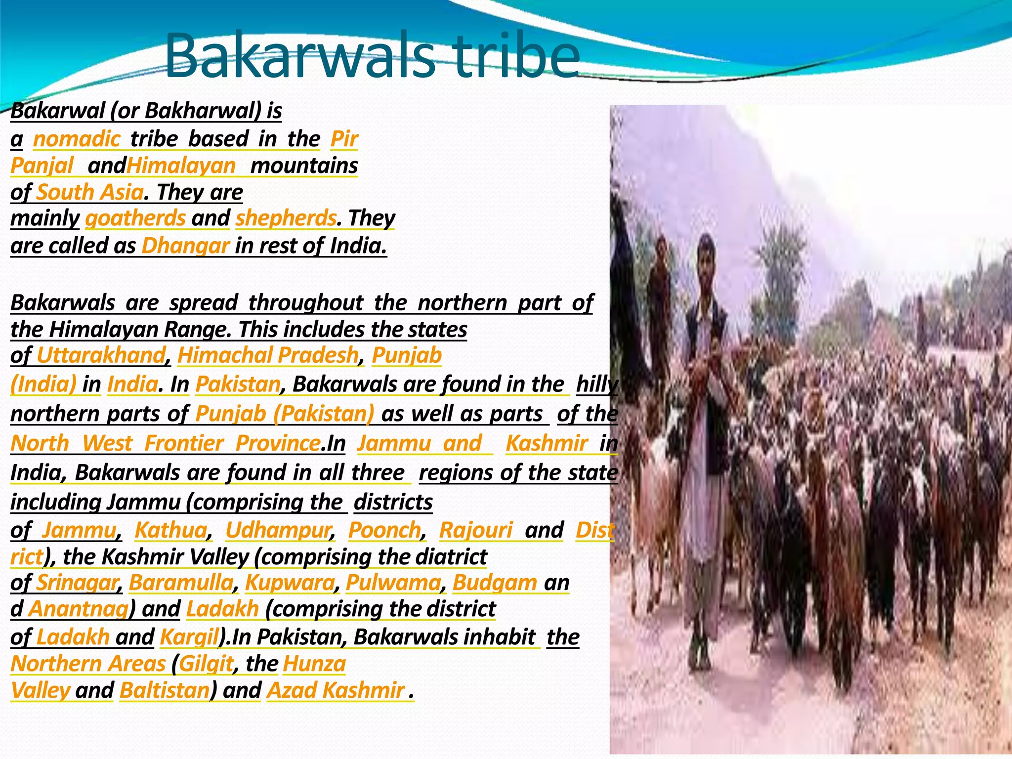 Tribes of india | PPTX