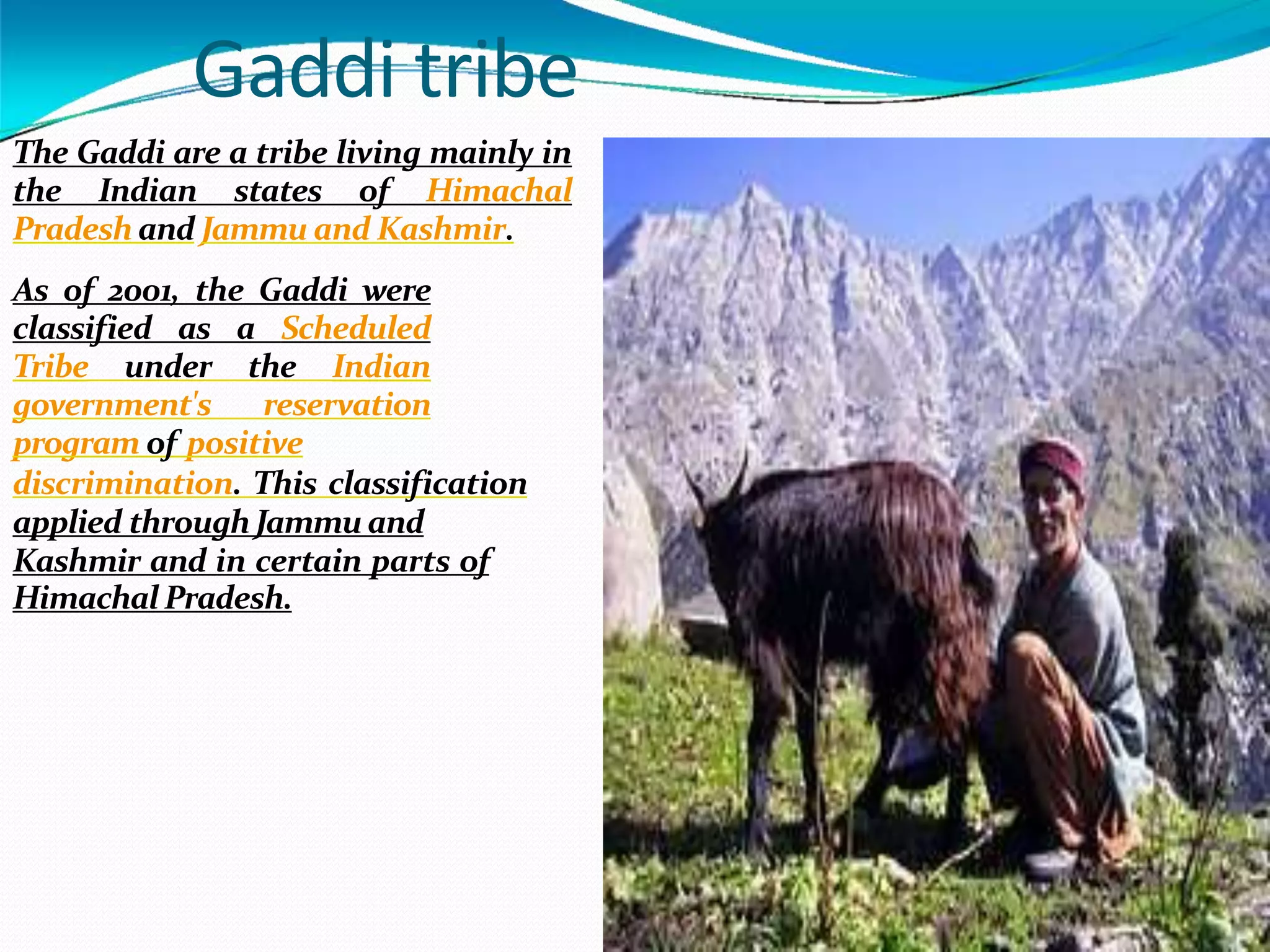 Tribes of india | PPTX