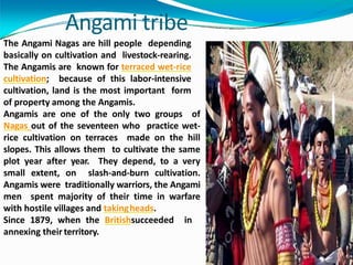 Tribes of india | PPTX