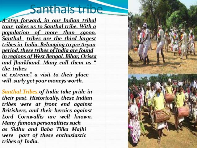Tribes of india | PPTX
