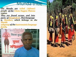 Tribes of india | PPTX