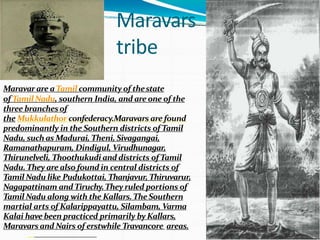 Tribes of india | PPTX