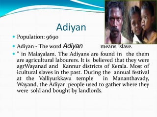 Tribes of india | PPTX