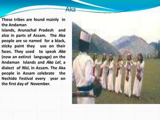 Tribes of india | PPTX