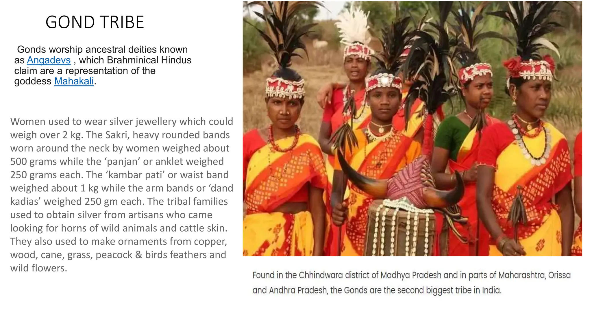 tribes of indiah.pptx