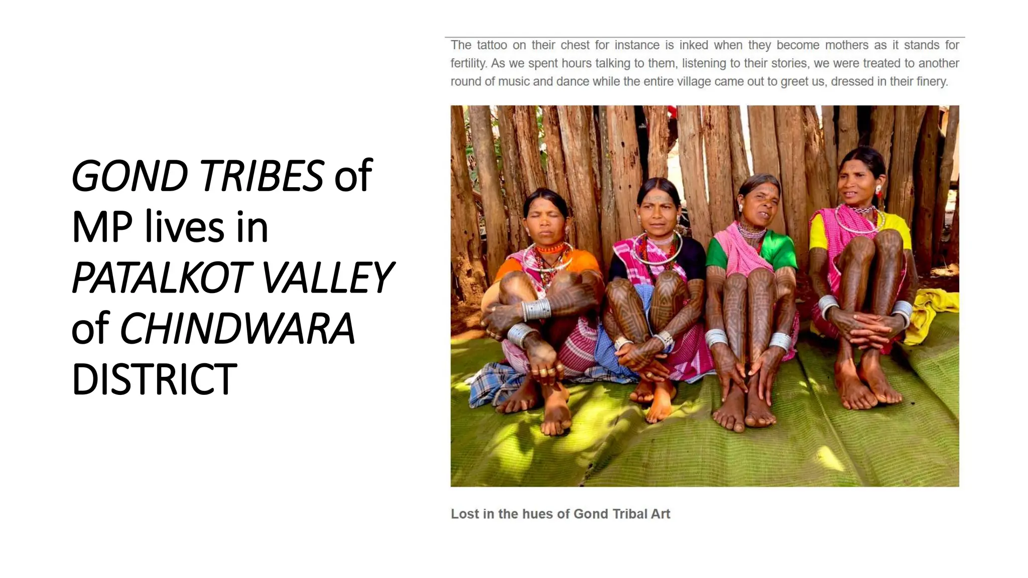 tribes of indiah.pptx