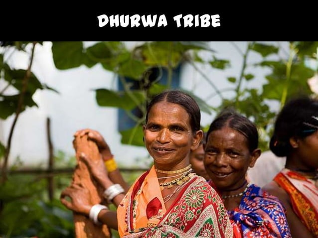 Tribes of orissa | PPTX