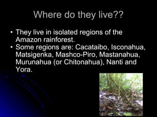 Tribes of peru | PPT | Travel