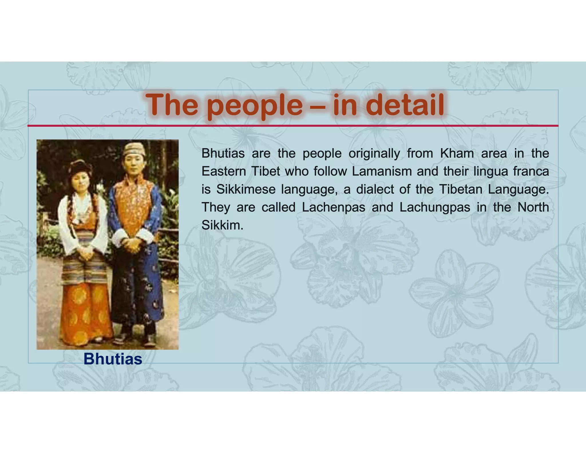 Tribes of sikkim- Art integration project | PDF