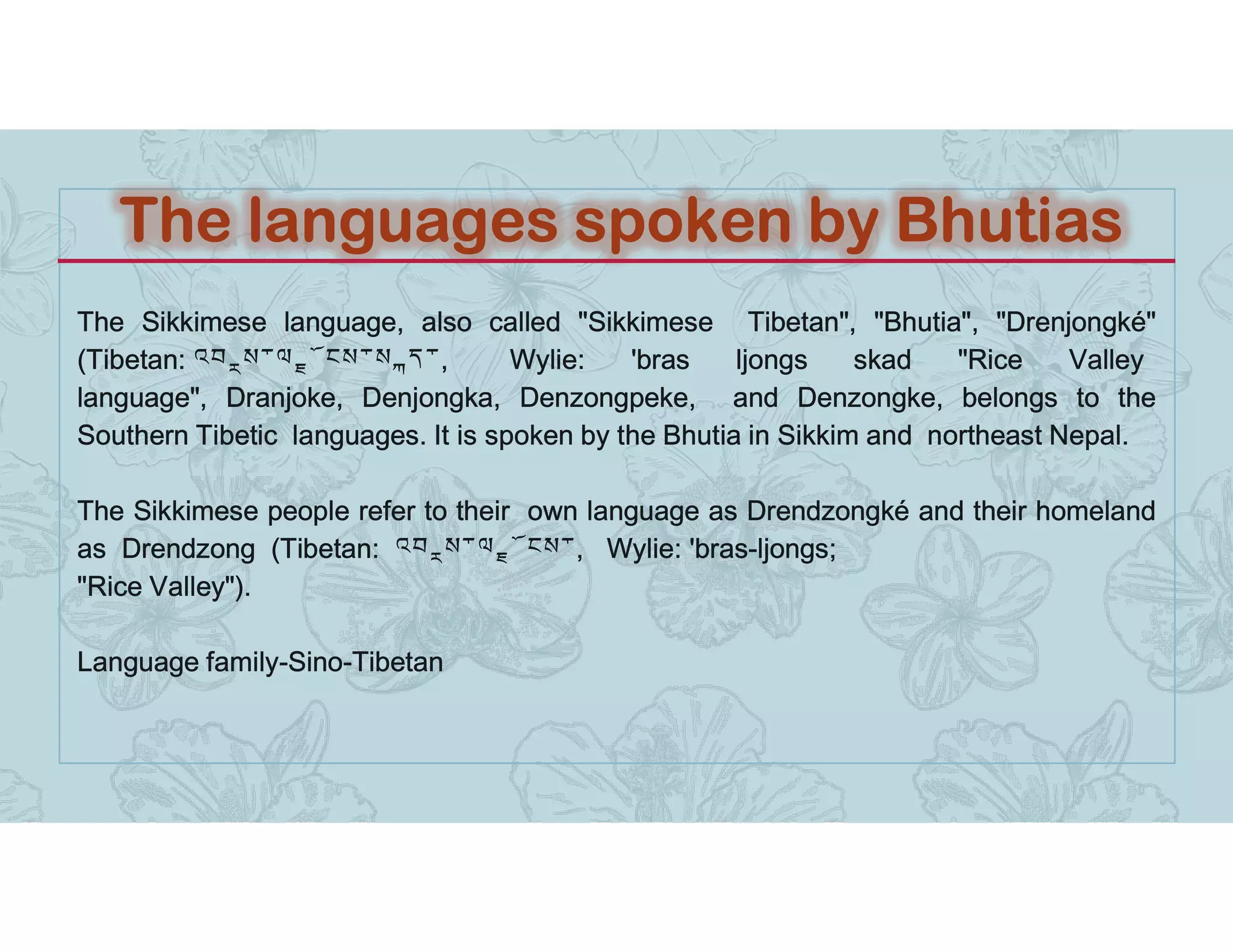 Tribes of sikkim- Art integration project | PDF