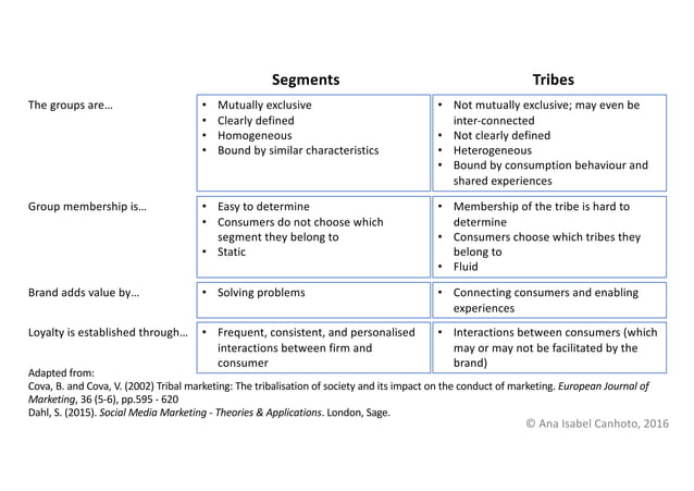 Consumer segments vs tribes | PDF | Business | Business and Finance
