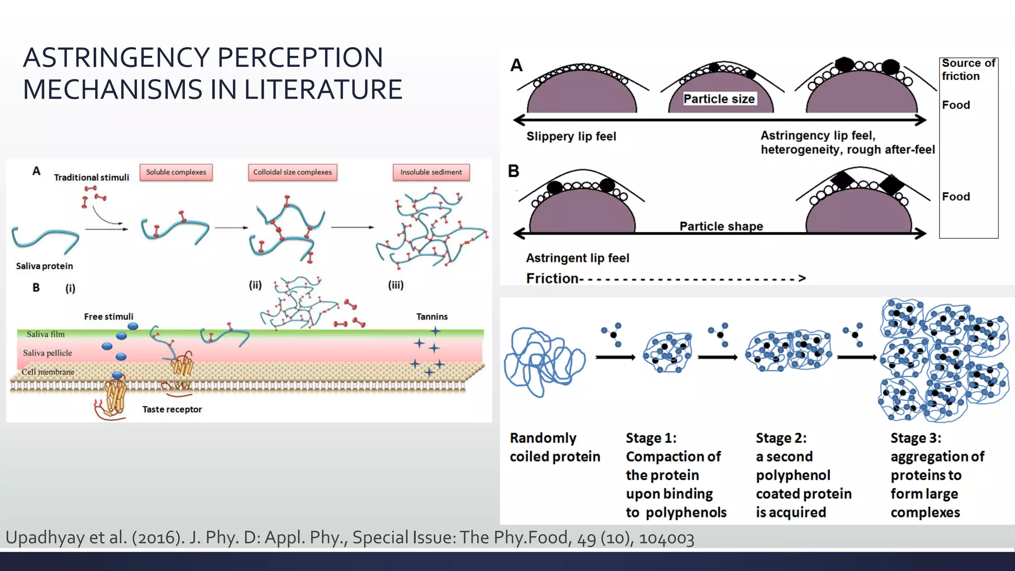 Tribo rheology advancements | PDF