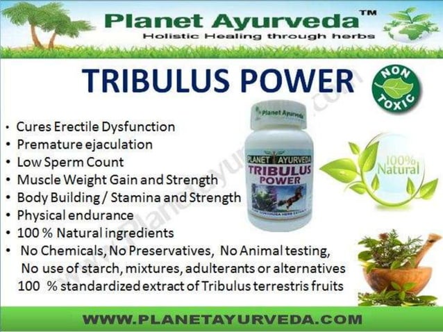 Tribulus Terrestris Capsules- Benefits, Dosage and Side Effects
