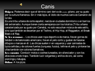 Tribus urbanas | PPT