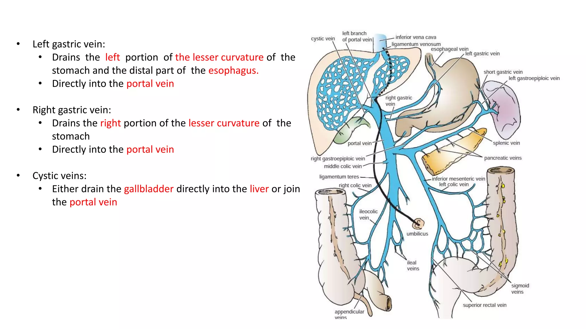 Tributaries of portal veins | PPTX