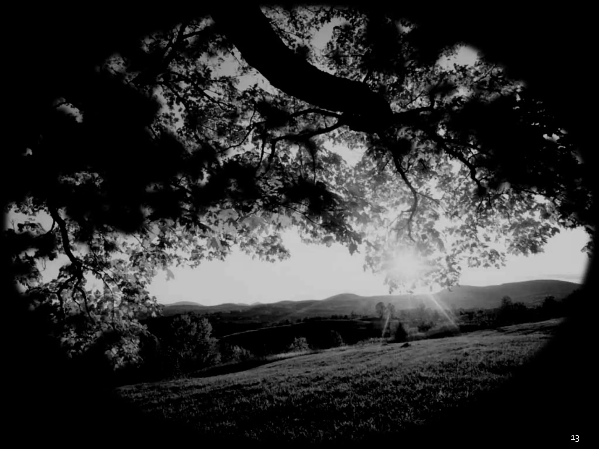 In Loving Memory Series | PPT