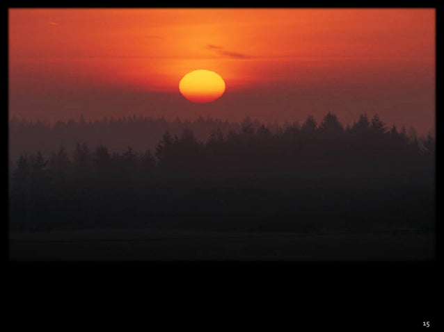 In Loving Memory Series | PPT