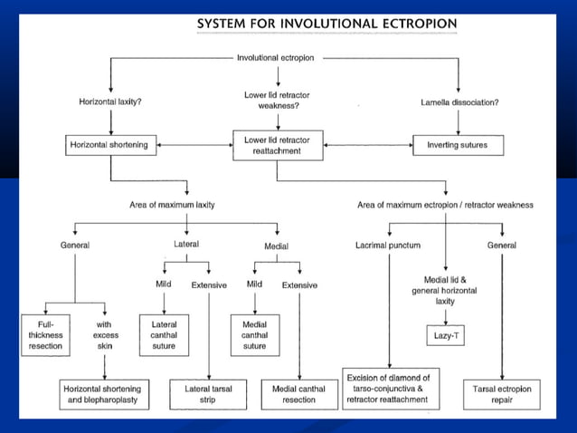 Ectropion and entropion | PPT