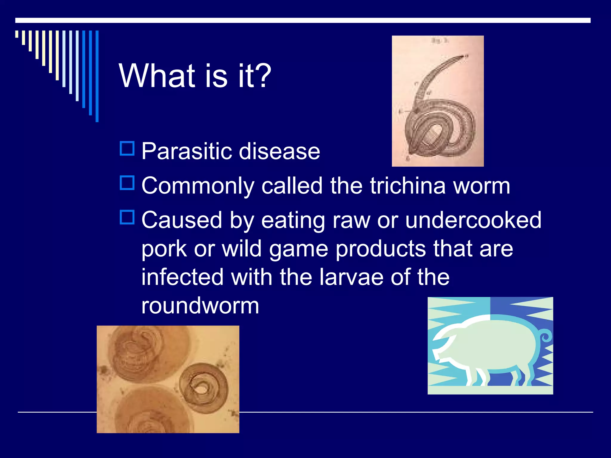 Trichinella | PPT