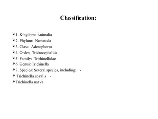 Trichinella is a genus of parasitic nematodes (roundworms) that infects ...