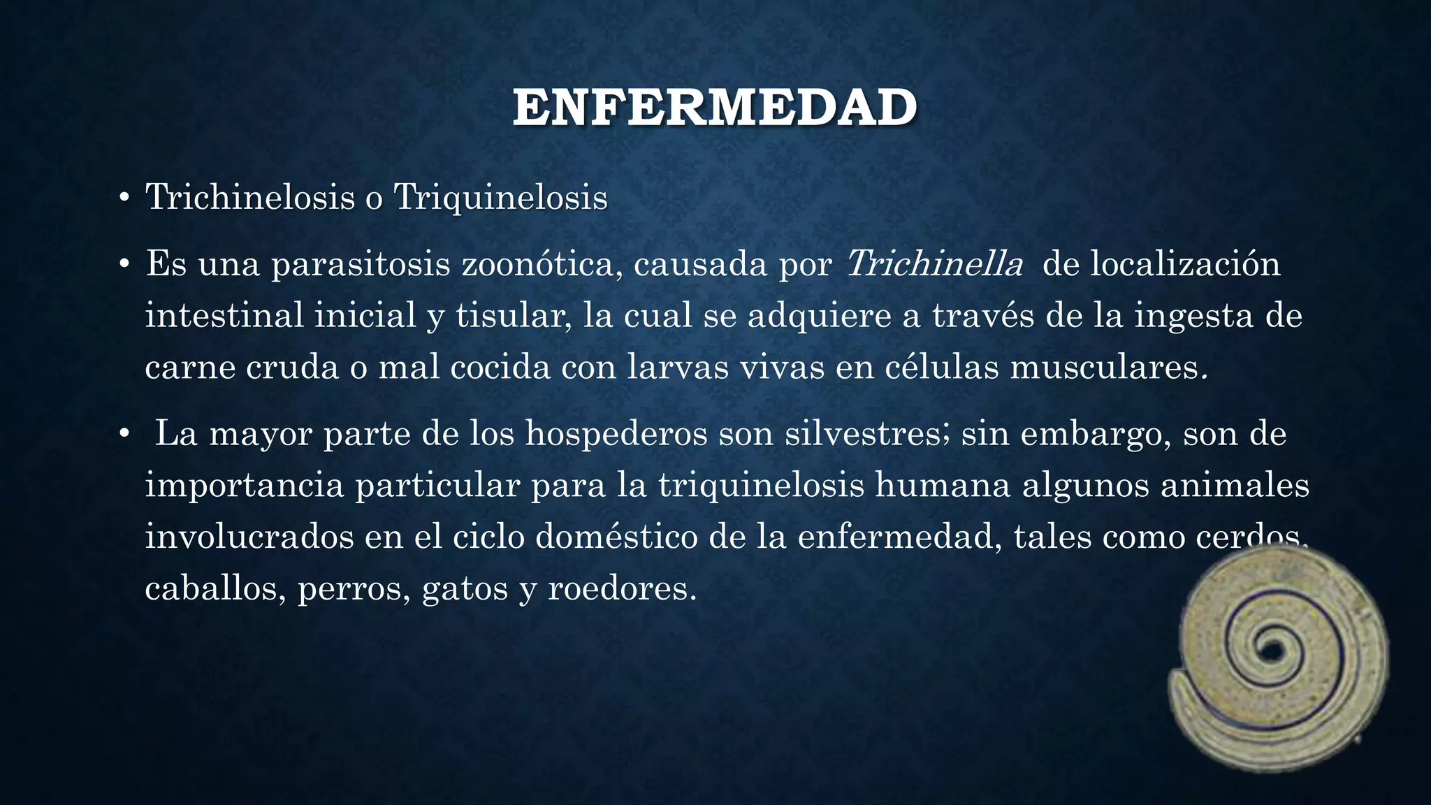 Trichinella spiralis | PPT | Descarga Gratuita