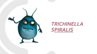 Trichinella spiralis: The Trichina Worm | PPT
