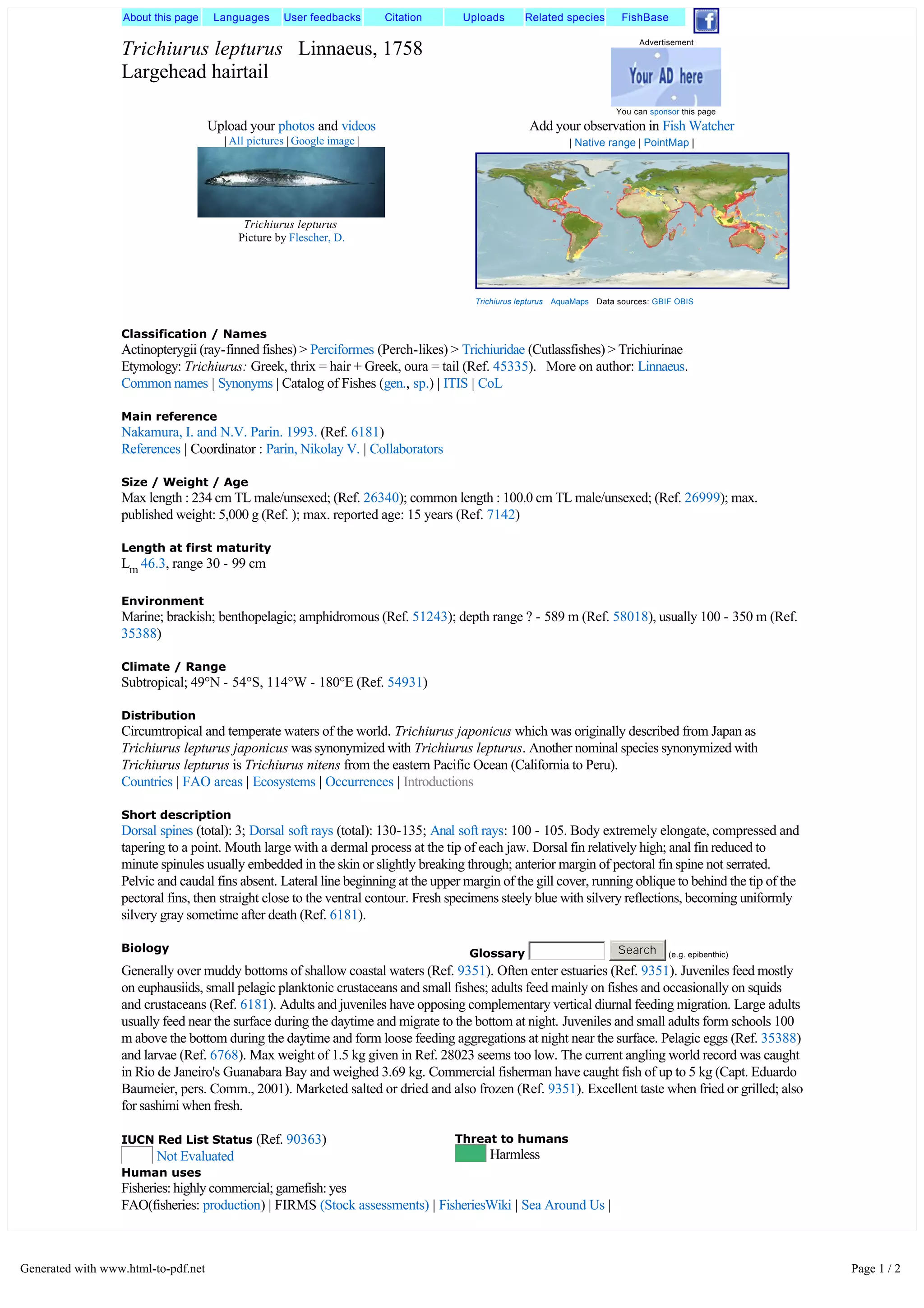 Trichiurus lepturus | PDF | Fish and Aquariums | Pets