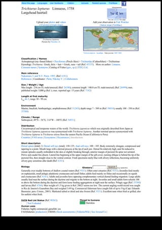 Trichiurus lepturus | PDF | Fish and Aquariums | Pets