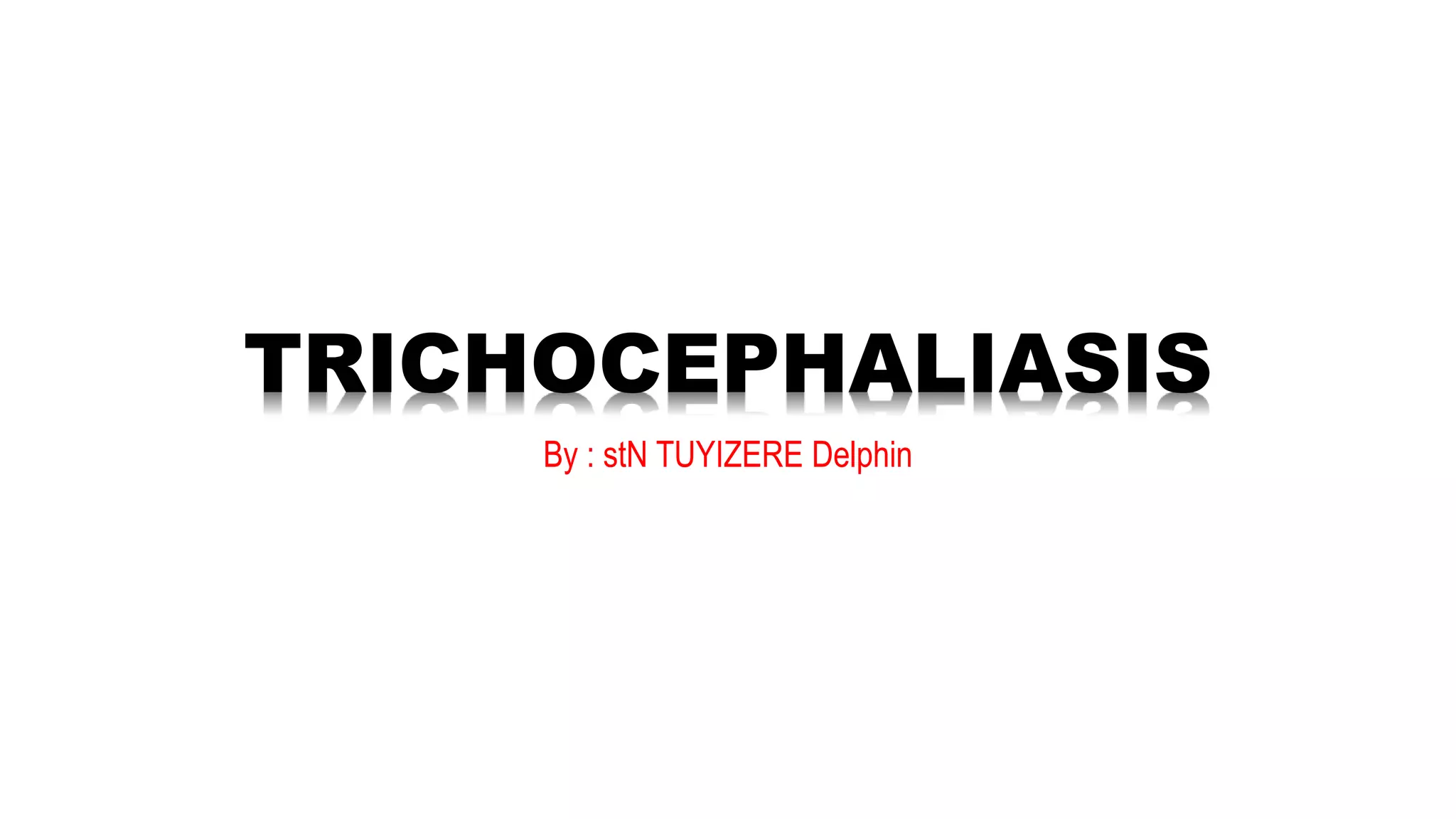 Trichocephaliasis[1] | PPTX