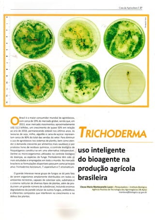 Trichoderma | PDF