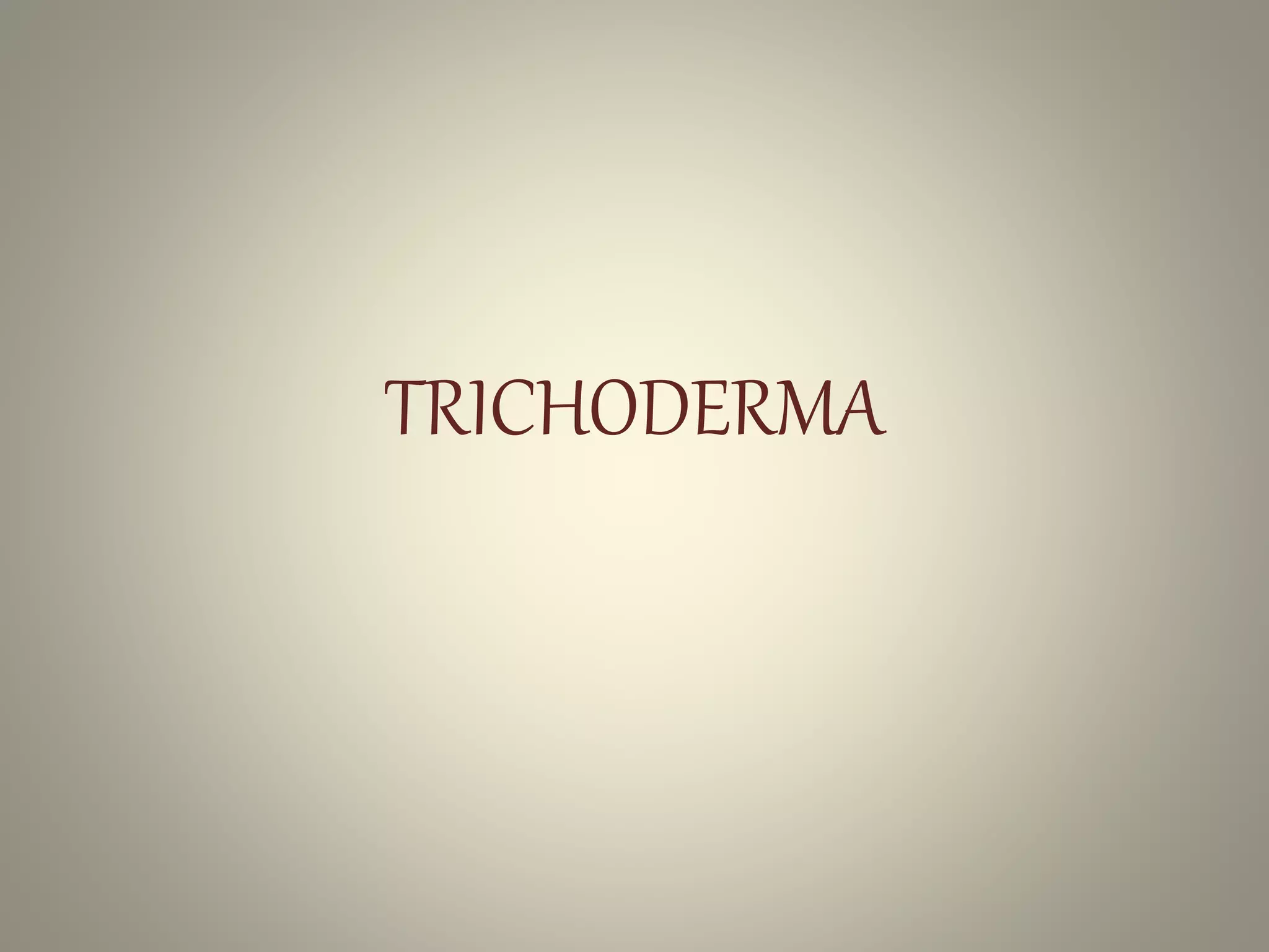 Trichoderma | PPTX