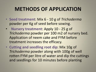 Trichoderma | PPTX