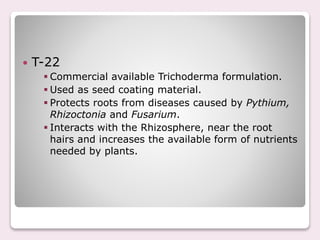 Trichoderma | PPTX