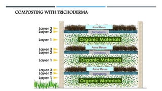 Trichoderma | PPTX