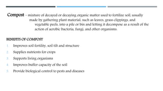 Trichoderma | PPTX