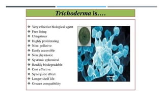 Trichoderma | PPTX