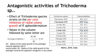 trichoderma.pptx