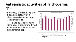 trichoderma.pptx