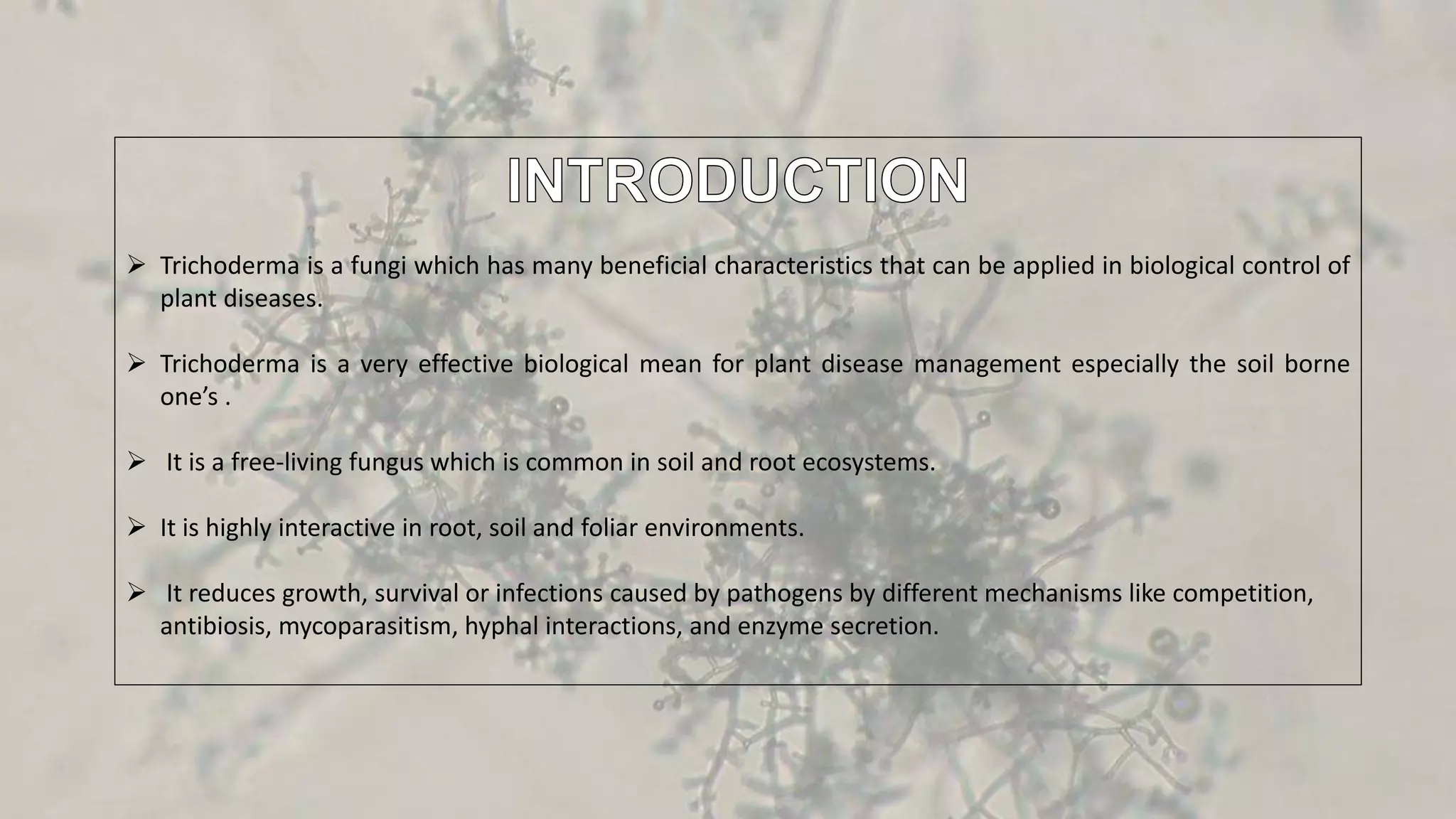 Trichoderma a prospective biocontrol agent | PPT