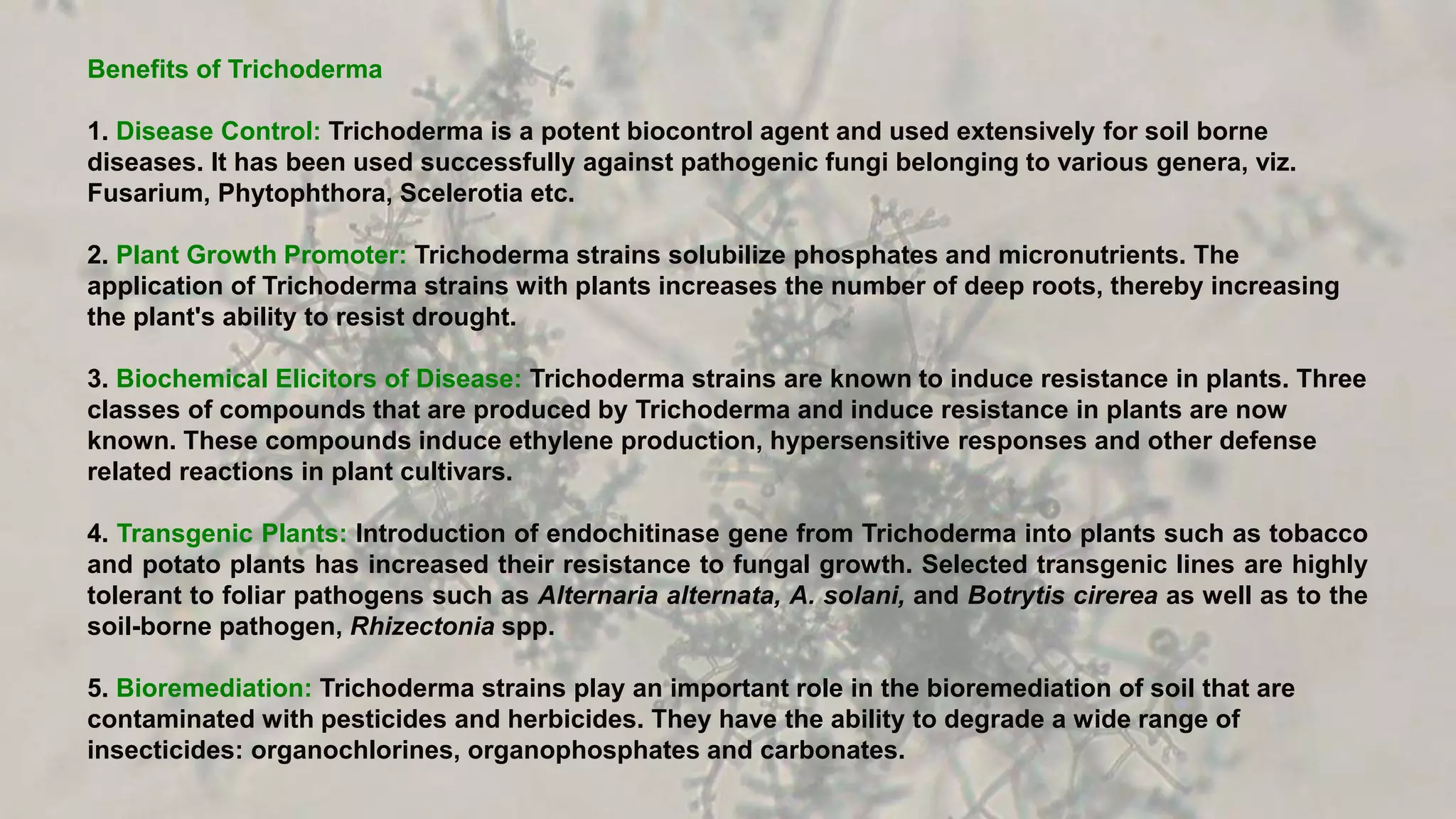 Trichoderma a prospective biocontrol agent | PPT