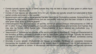 Trichoderma a prospective biocontrol agent | PPT