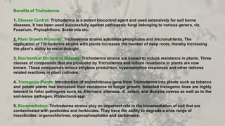 Trichoderma a prospective biocontrol agent | PPT