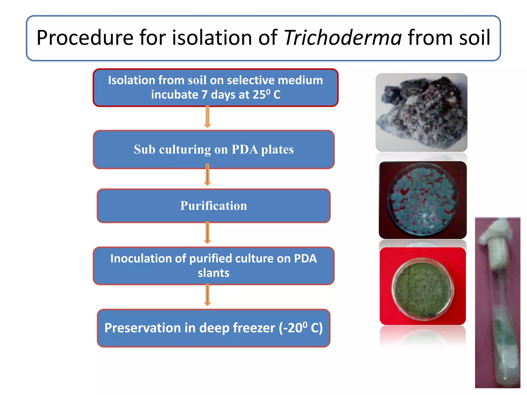 Trichoderma march 14th | PPTX